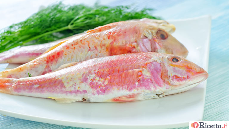 Ricetta Triglia con cipolle - Consigli e Ingredienti | Ricetta.it